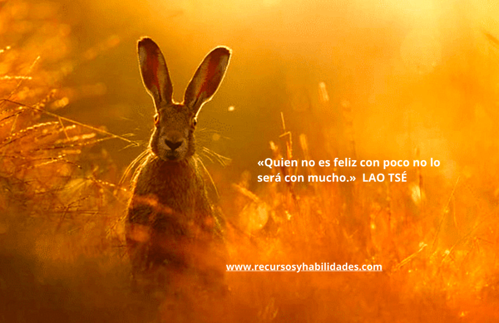 Aforismo de la felicidad